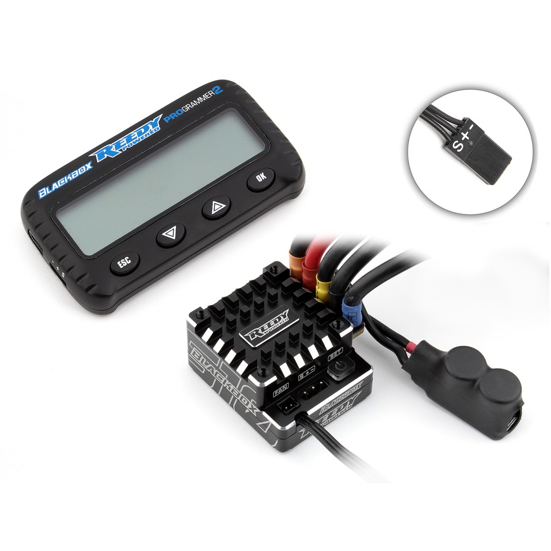 KAEMTECH RACING PRODUCTS RC-Car Shop - Reedy BLACKBOX 510R COMPETITION ESC w/PROgrammer2